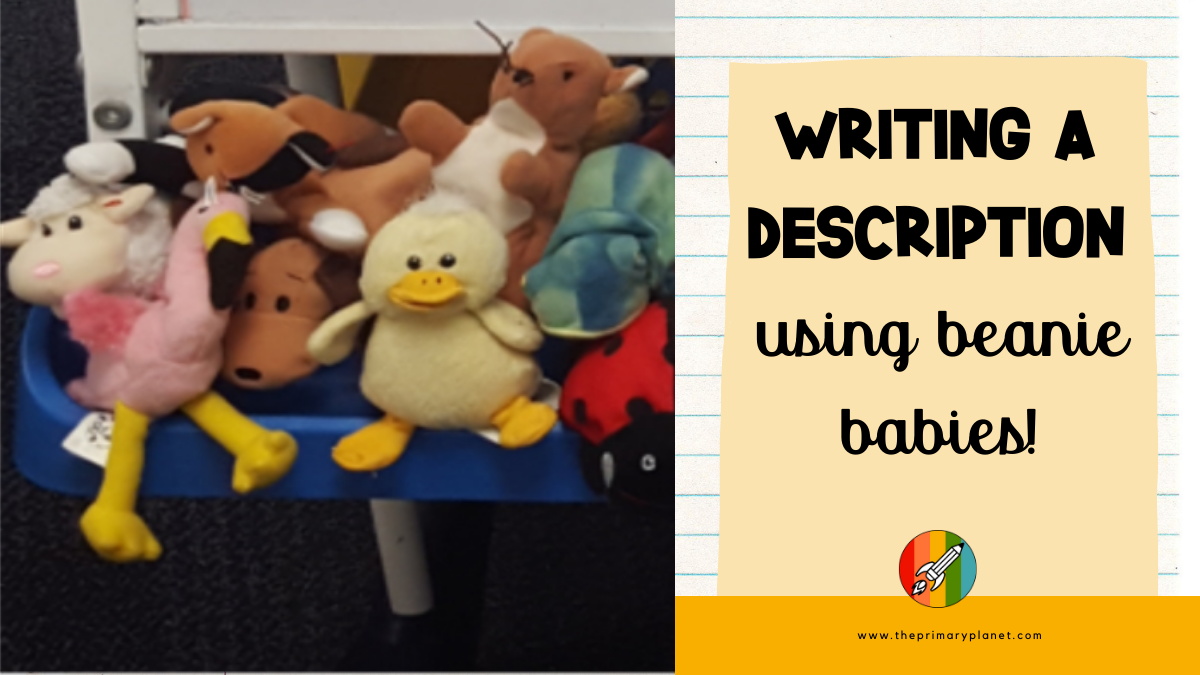 Fun Writing a Description Lessons with Beanie Babies - Primary Planet