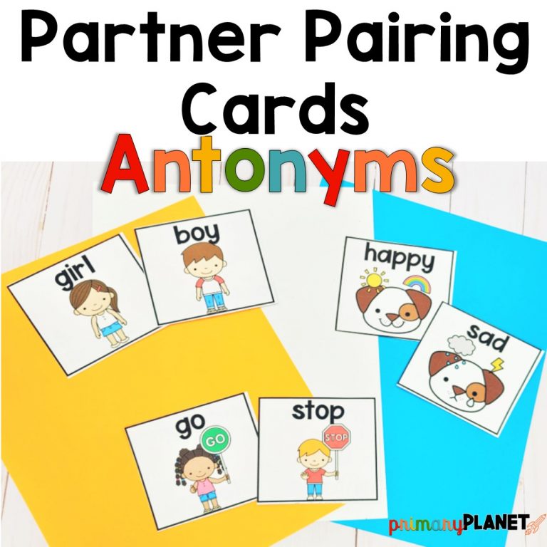 Antonym Partner Pairing Cards - Partner Cards - Primary Planet