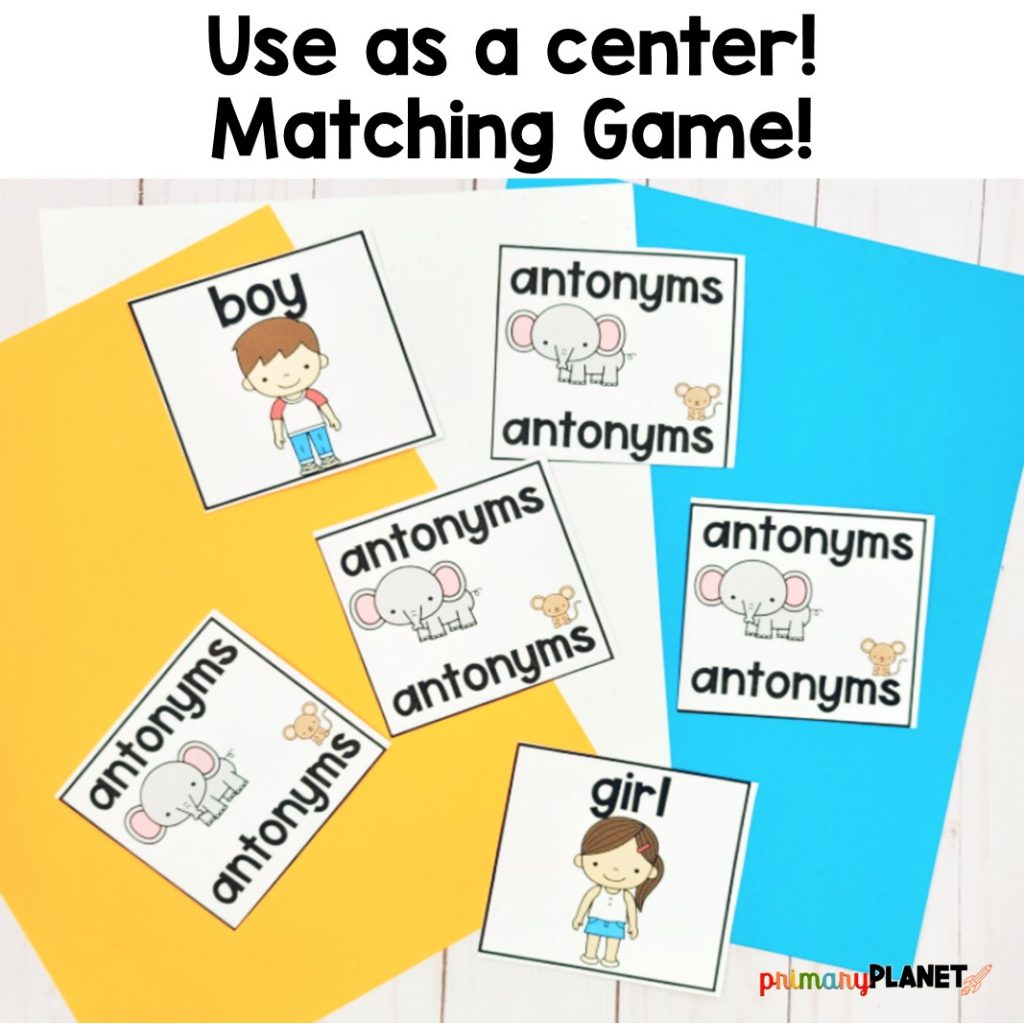 Antonym Partner Pairing Cards - Partner Cards - Primary Planet