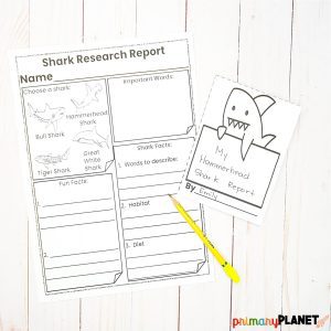 Fun Shark Week Activities for Writing - Primary Planet