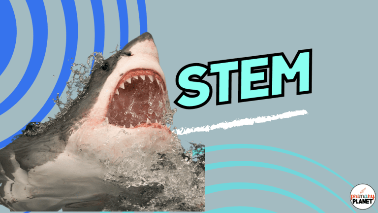 How to Celebrate Shark Week in Your Elementary Classroom! - Primary Planet