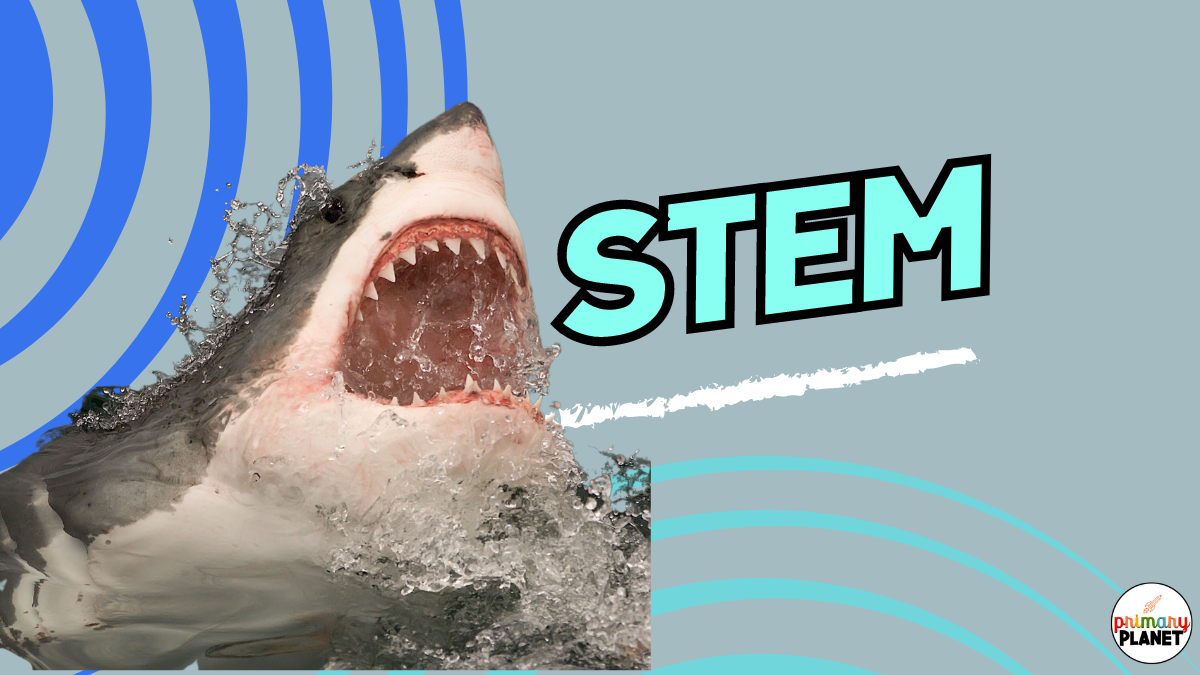 How to Celebrate Shark Week in Your Elementary Classroom! - Primary Planet