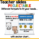 Sentence a Day- Types of Writing Mini Lesson Teacher Slides ...