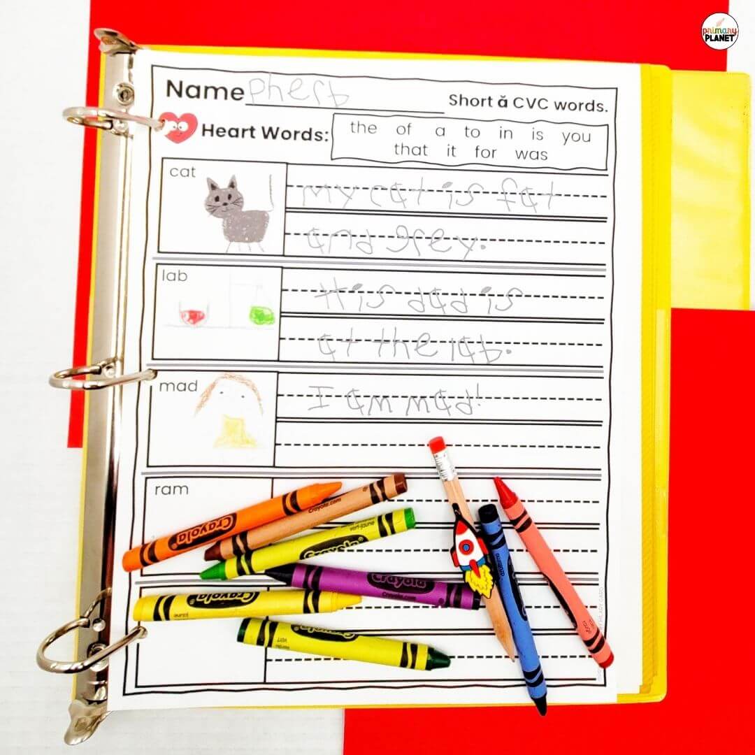 Daily Phonics Encoding Sentence Writing Practice Worksheets - Short ...