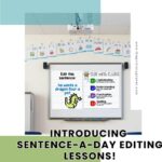 Helpful Step by Step Writing Mini-Lessons for Teaching Editing ...