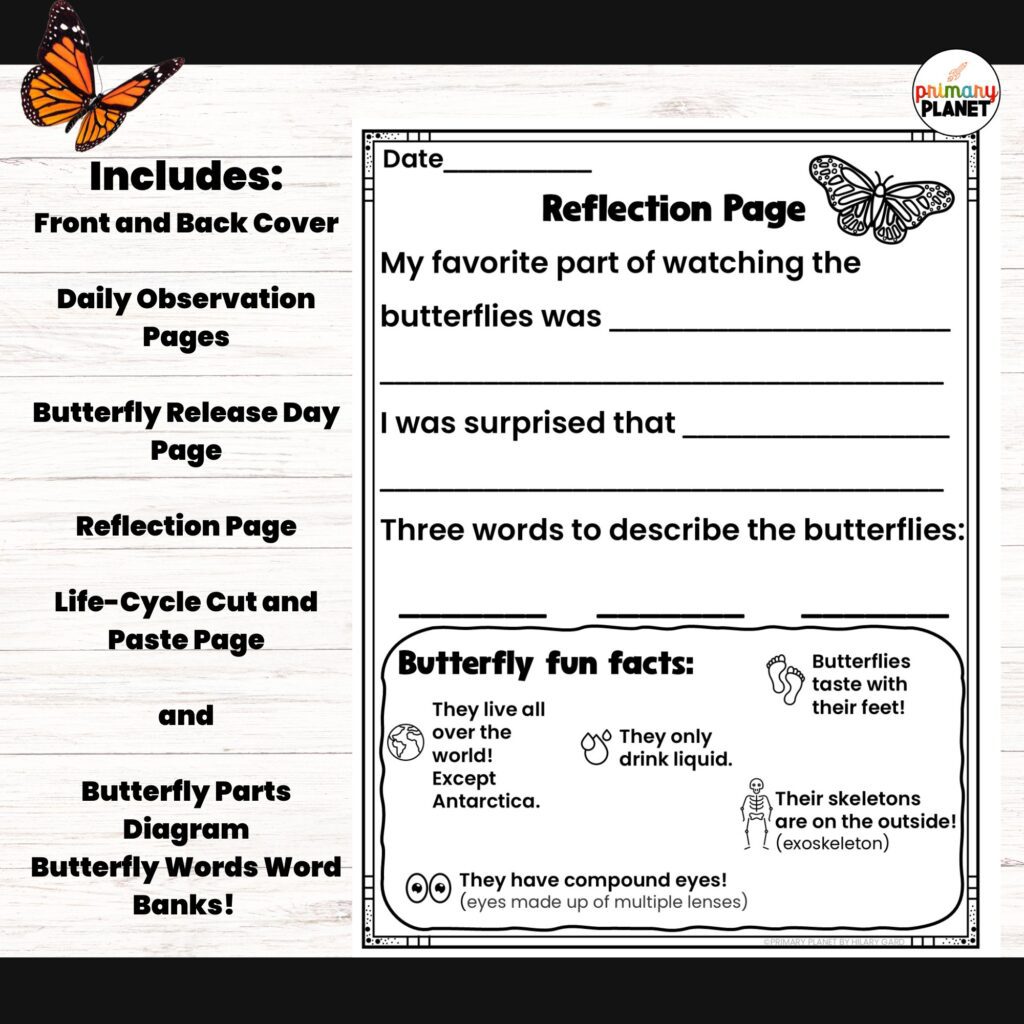 Life Cycle of a Butterfly Observation Journal for Kids Printable ...