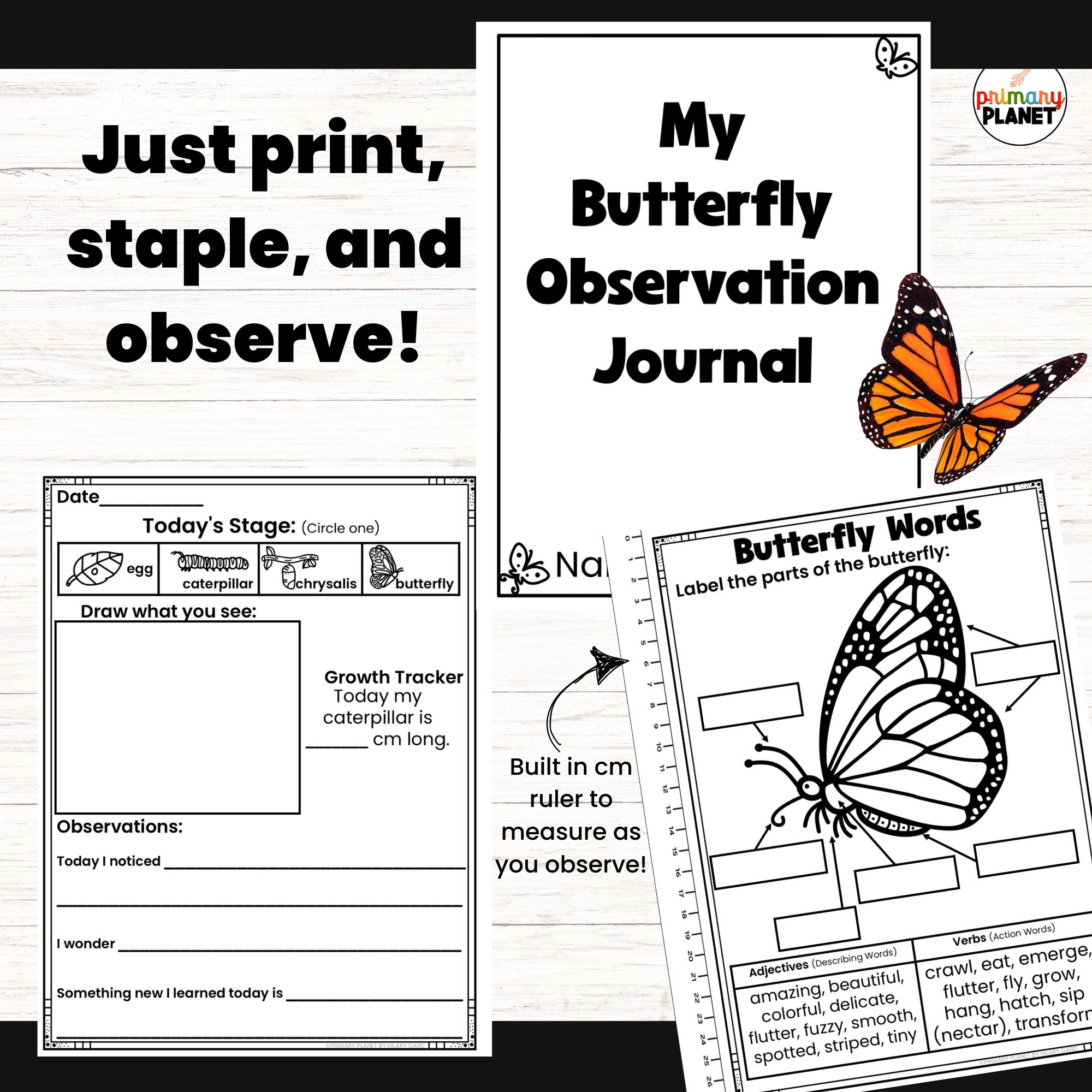 Life Cycle of a Butterfly Observation Journal for Kids Printable ...