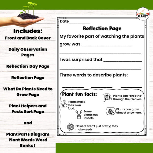 Weather Observation Journal for Kids Printable PDF - Plant Worksheets
