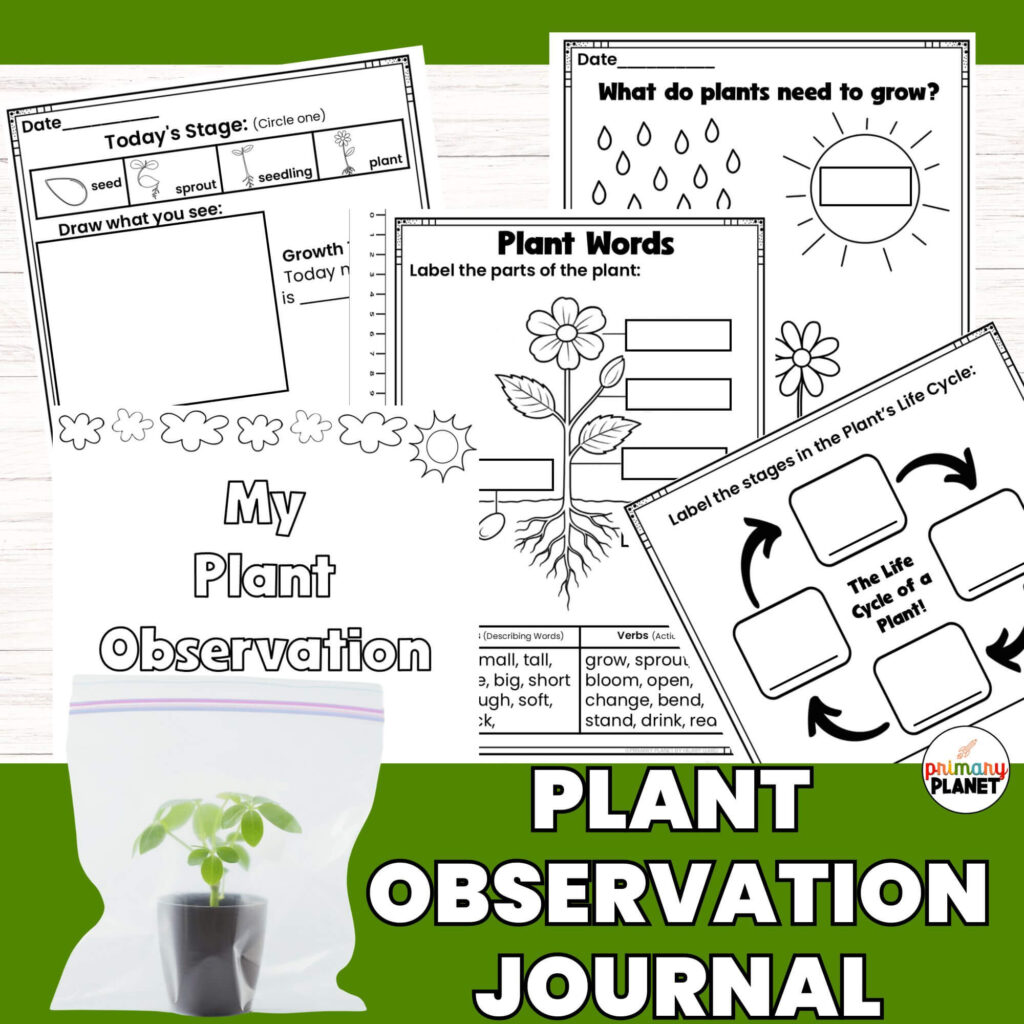 Weather Observation Journal for Kids Printable PDF - Plant Worksheets