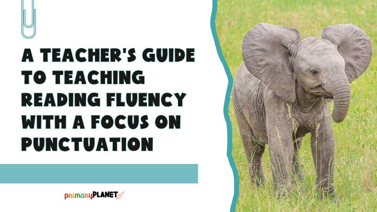 Teaching Reading Fluency